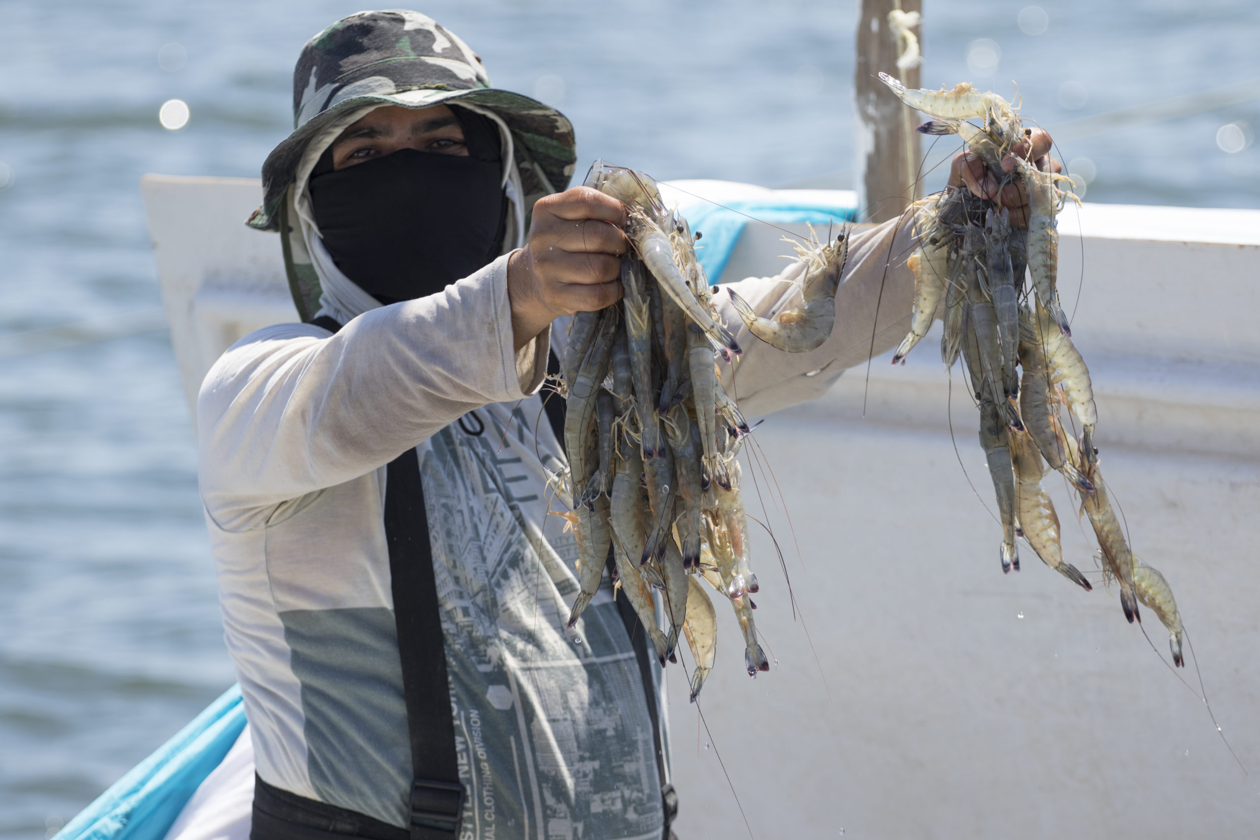 Del Pacifico Seafoods Earns SEAL Sustainable Product Award For Wild ...